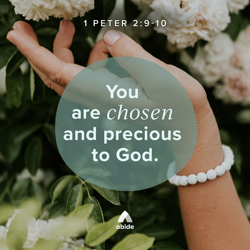 Chosen 1 Peter 2 9 10 Abide Chosen 1 Peter 2 9 10 Abide
