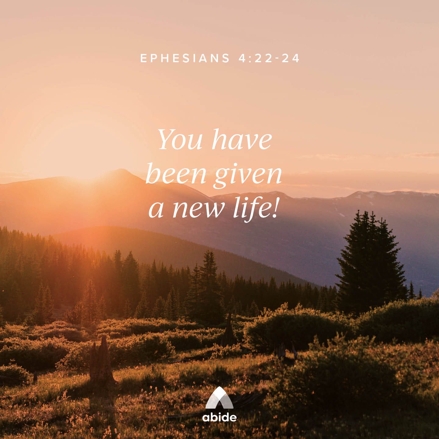 Redeeming Your Pain Ephesians 4 22 24 Abide Redeeming Your Pain Ephesians 4 22 24 Abide