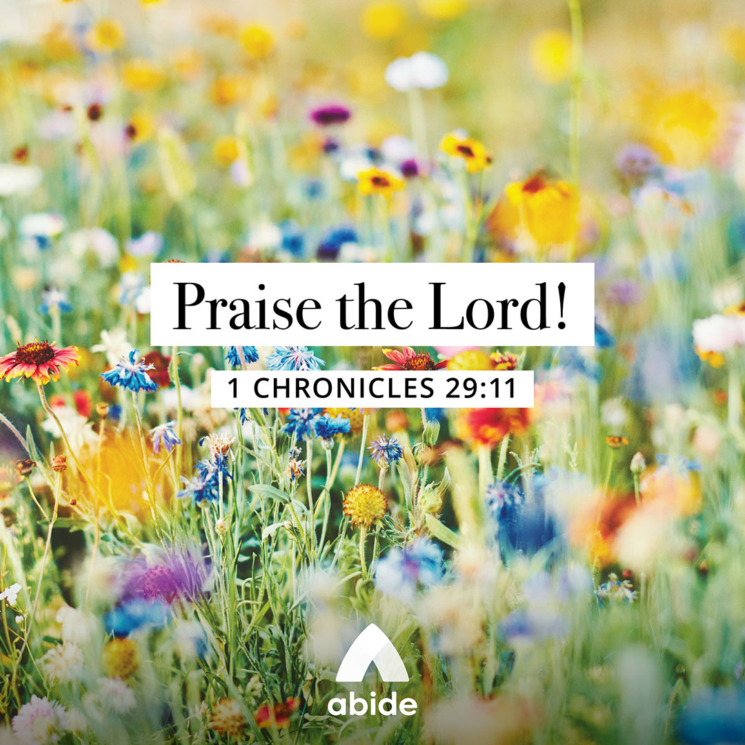 God is Exalted - 1 Chronicles 29:11 | Abide