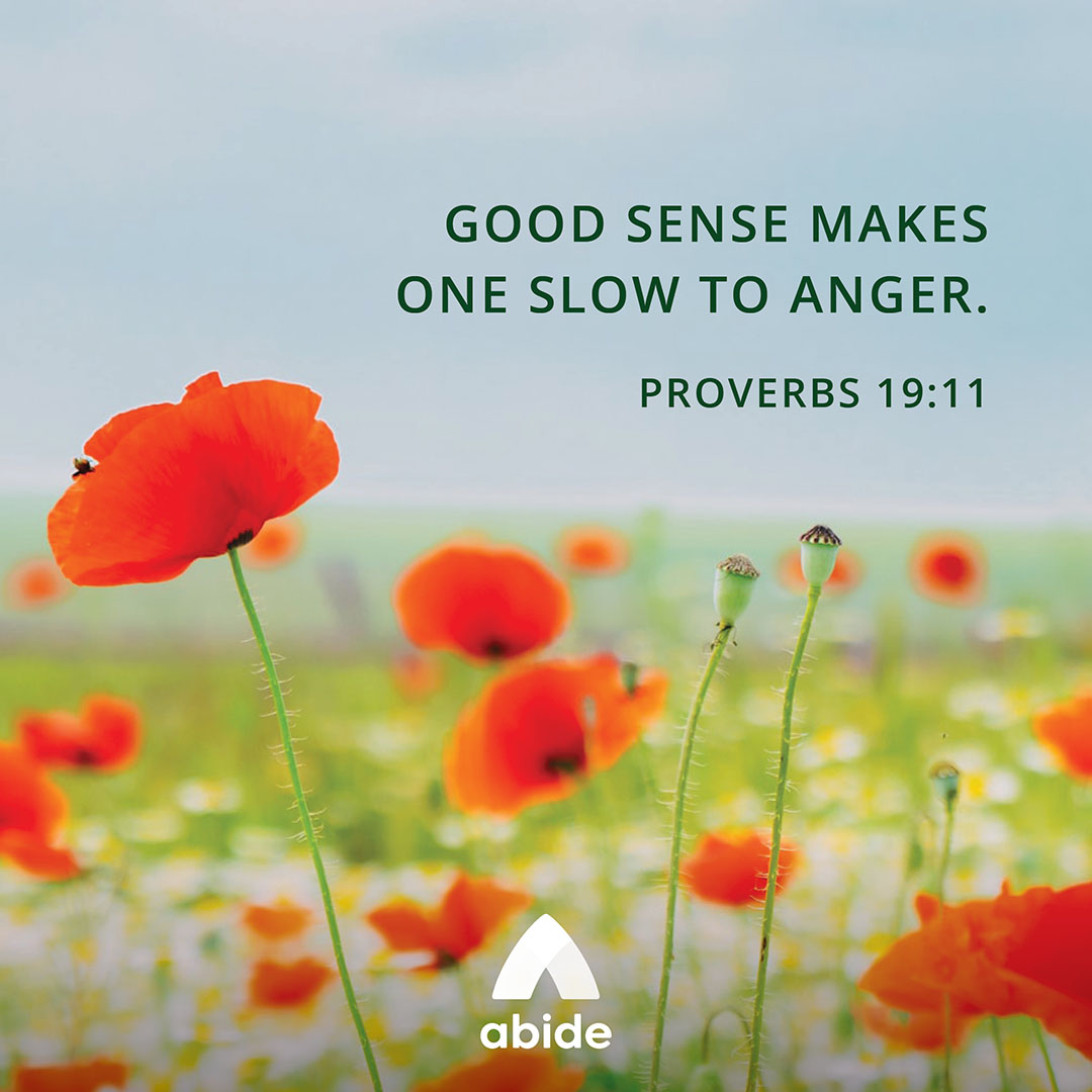 Overlook Offense - Proverbs 19:11 | Abide
