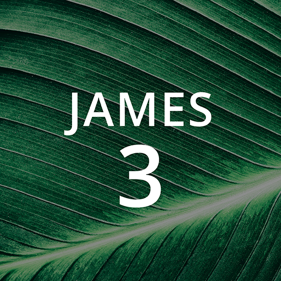Taming the Tongue - James 3 | Abide