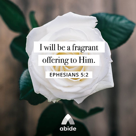 A Fragrant Offering - Ephesians 5:2 | Abide