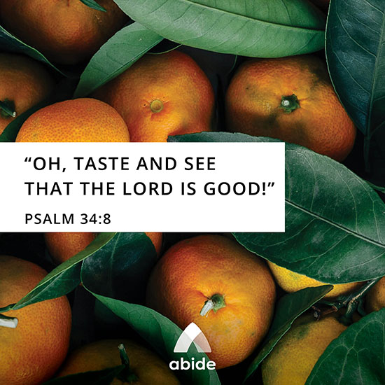Taste and See - Psalm 34:8 | Abide