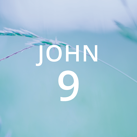 Jesus Heals a Man Born Blind - John 9 | Abide