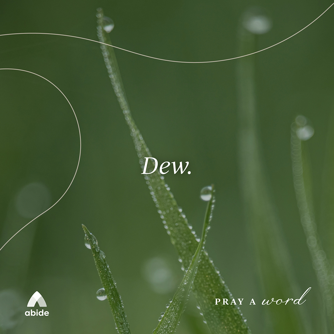 Pray a Word: Dew - Genesis 27:28 | Abide
