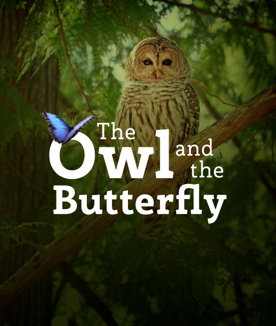 The Owl and the Butterfly - John 8:32 | Abide